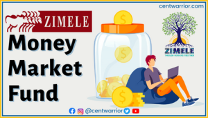 Zimele Money Market Fund Explained [2024] (Everything to Know)